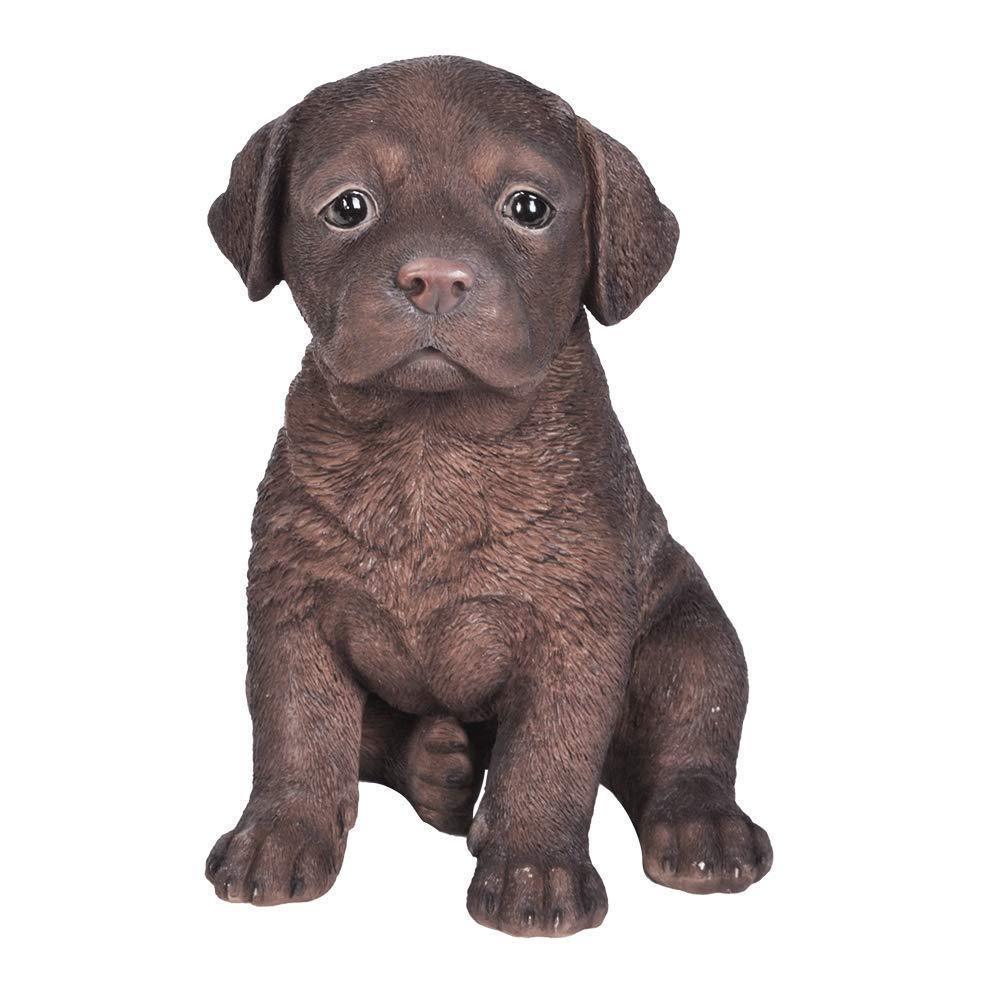 Cute Lab Puppy Brown