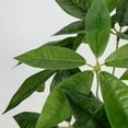 16 Inch Fake Money Tree Plant Potted Artificial Pachira Money Tree ...