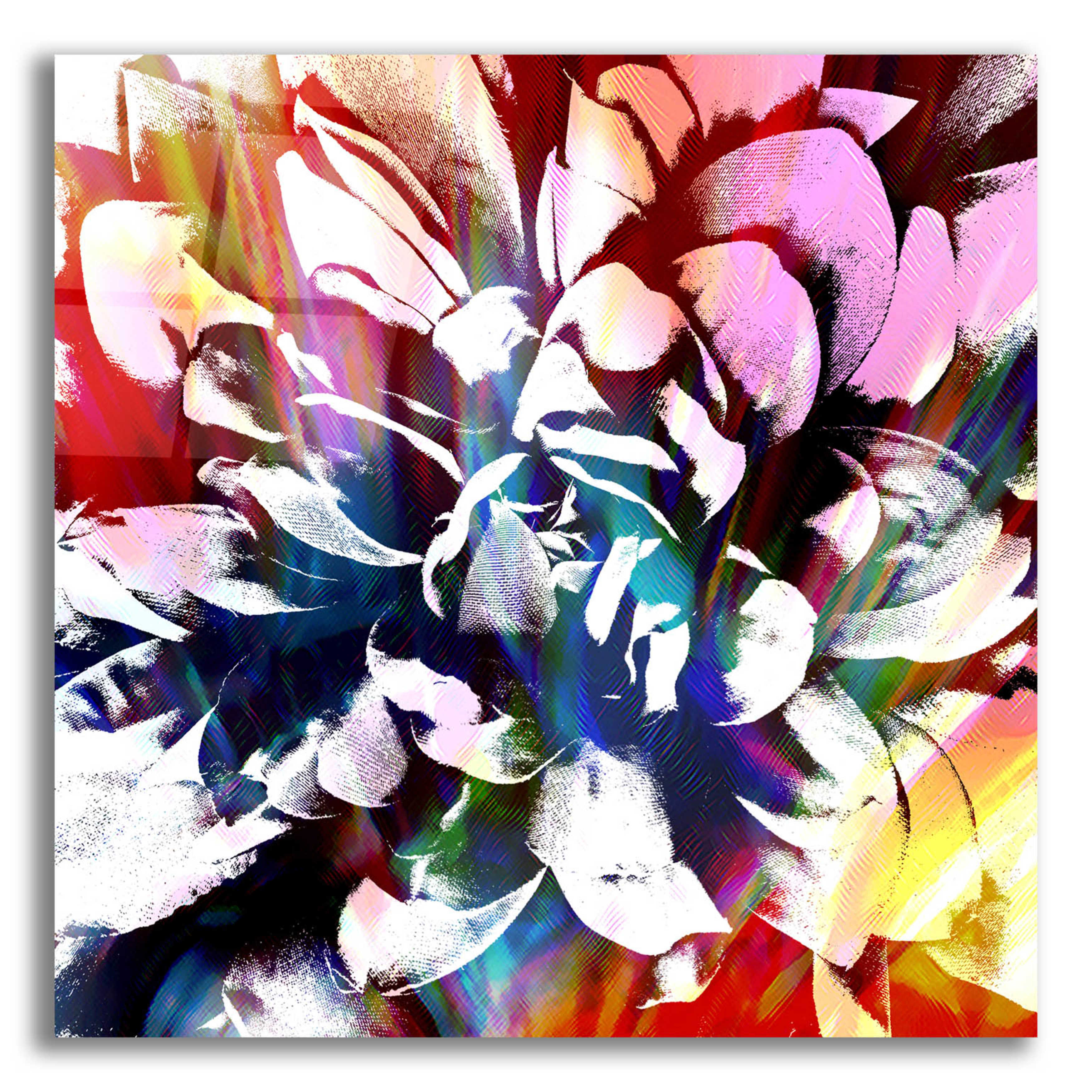 Epic Art 'Flower Power' by Shandra Smith, Acrylic Glass Wall Art, 12 ...