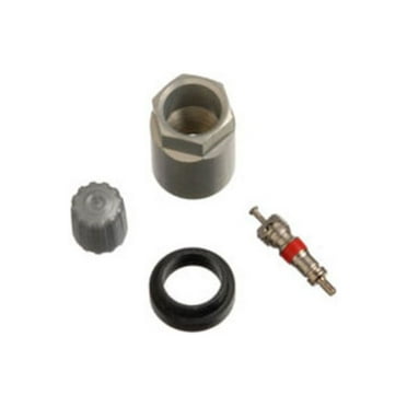Schrader Tpms Service Pack - Ford Snap In - Walmart.com