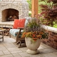 Proven Winners 4" Orange Vermillionaire Large Firecracker Plant Live ...