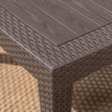 Douglas Outdoor 4 Piece Faux Wicker Rattan Style Chat Set with Cushions ...