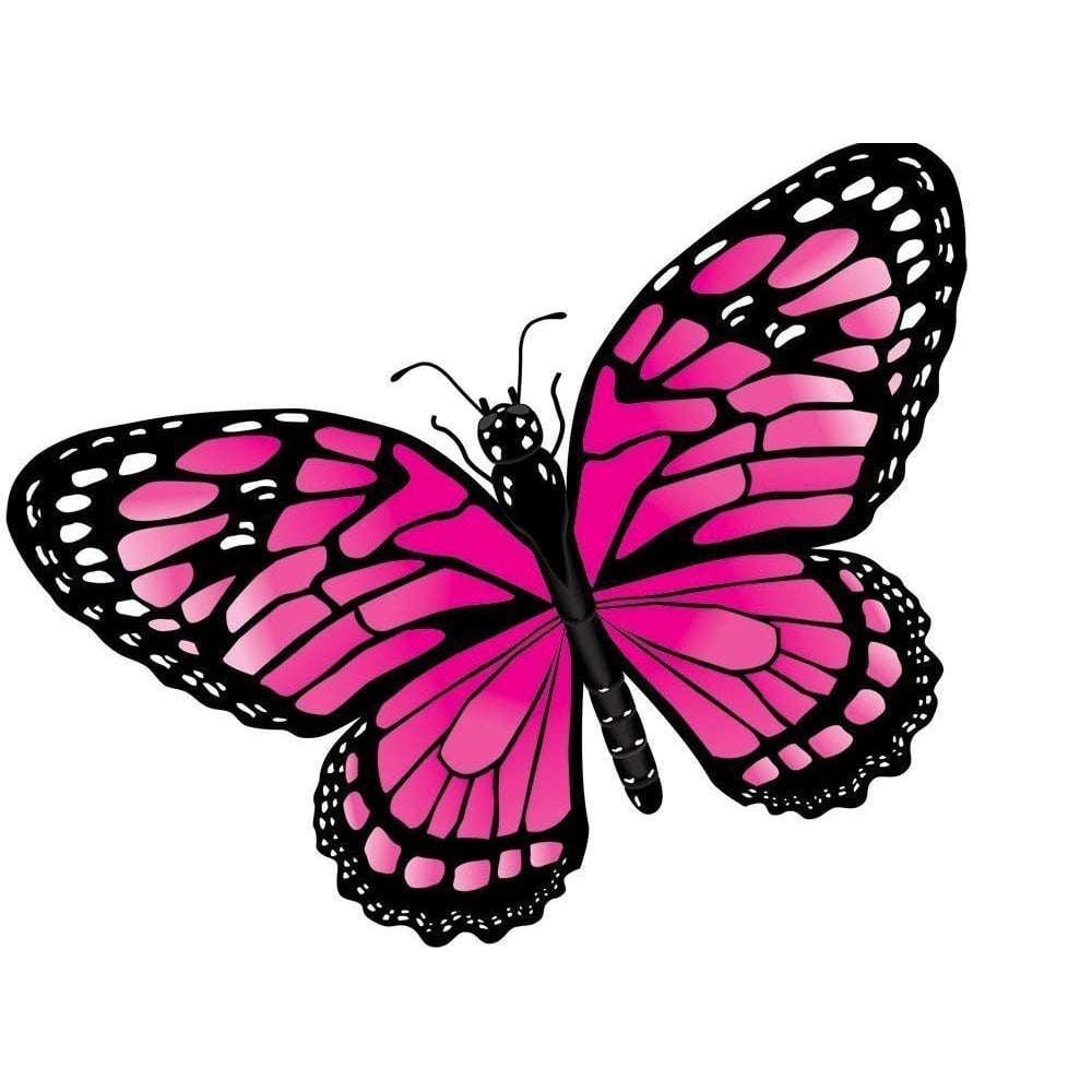 Gayla Industries 932 Pink Morpho Butterfly Wildlife Wing Flapper Kite ...
