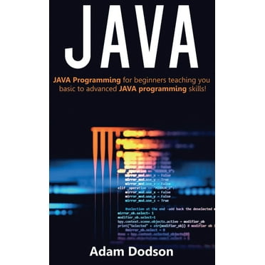 Beginning Java Programming: The Object-Oriented Approach (Paperback ...