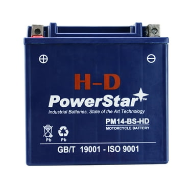 CUB CADET 210cca 11AHR Battery for Ultima ZT1 ZT2 ZTS1 ZTS2 ZTX4 ZTX5 ...