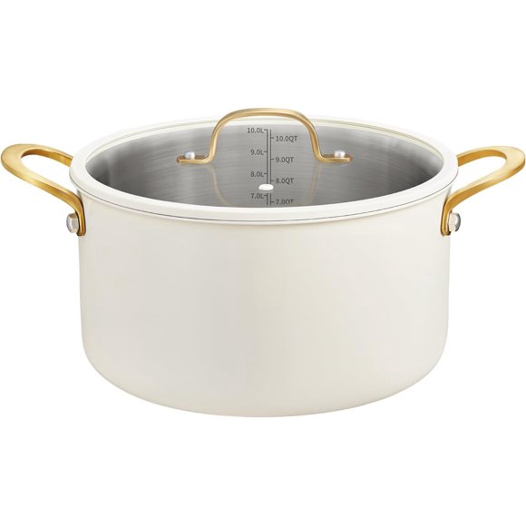 10 Qt Pot