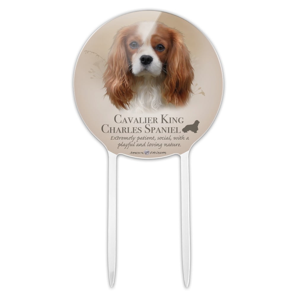Acrylic Cavalier King Charles Spaniel Dog Breed Cake Topper Party ...