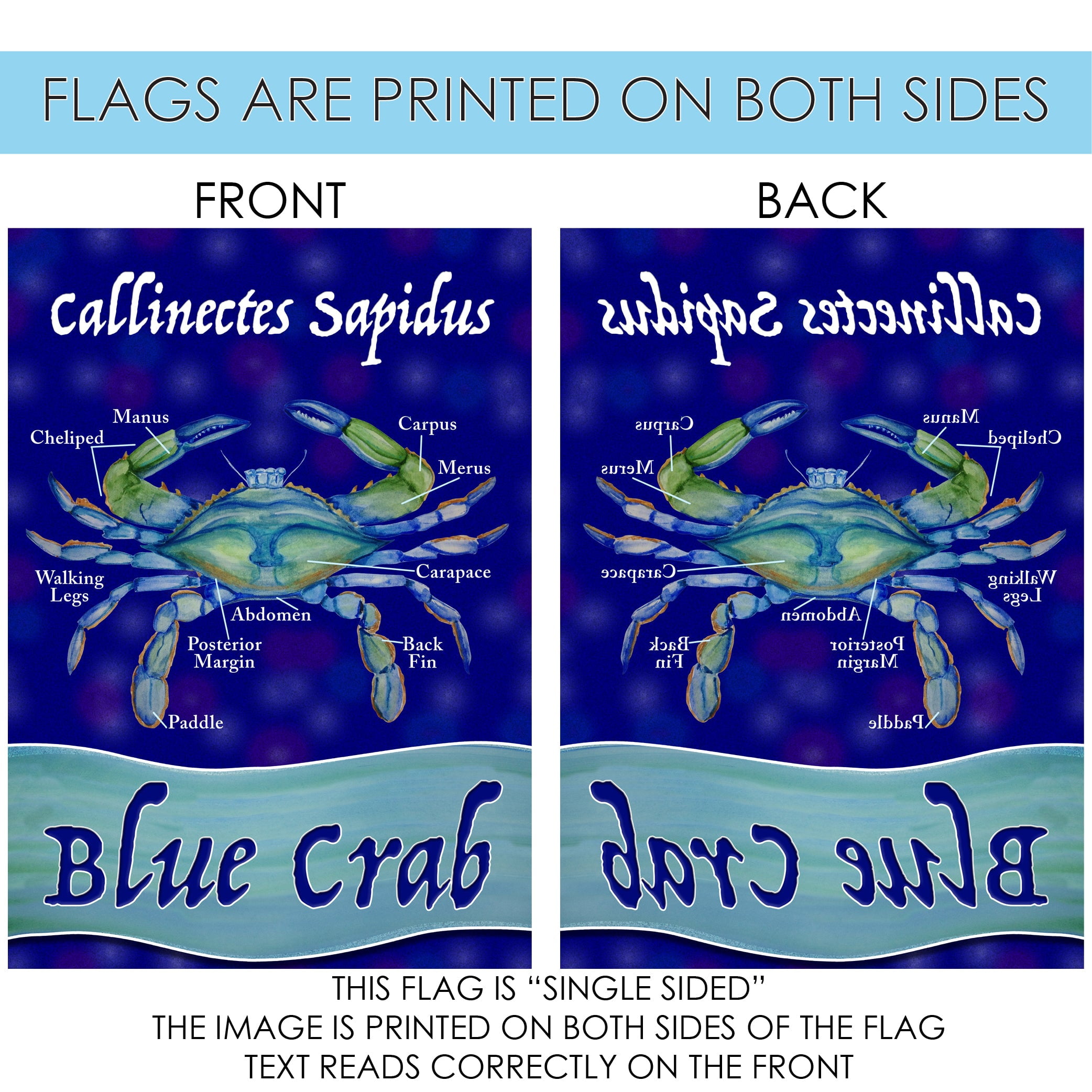 Blue Crab Labeled