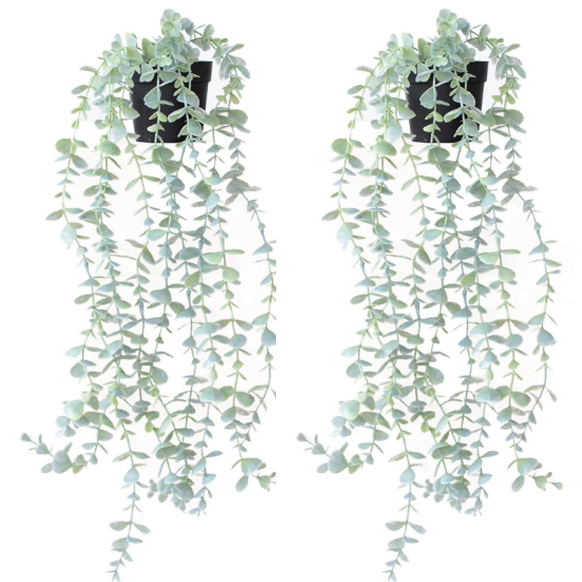 Click here for Dutchman Versatile Display Eucalyptus  Realistic D... prices