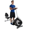 Stamina 2 in 1 Gym Exercise Bike & Rower Machine, Seated Foot Pedals ...