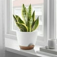 FOUKUS Set of 5 Self-Watering Plant Pots with Drainage – Eco-Friendly ...