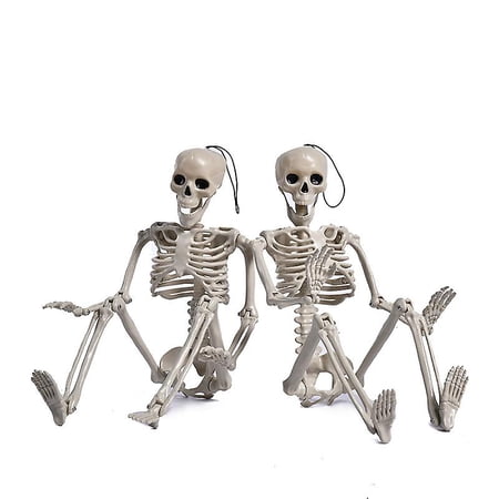 Halloween Poseable Full Life Size Human Skeleton Prop Anatomy Model ...