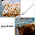 Stainless Steel Hive Tool Bee Frame Lifter Curved Head Scraper Beehive ...