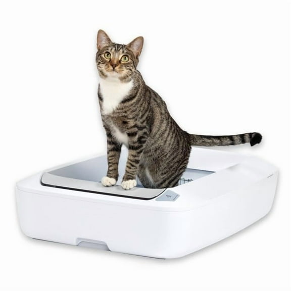 Popur X5 Auto Sifting Robot Cat Litter Box, Self Cleaning Core Bundle ...