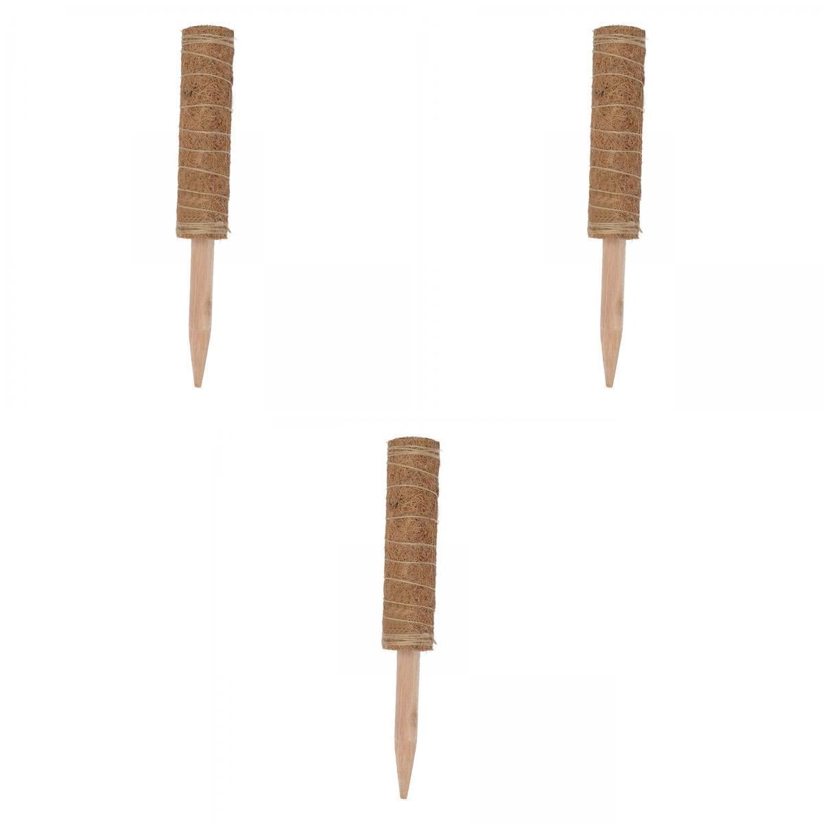 3pcs Pole Pnt Extension Climbing Support Rods for Potted Zulema Plantas ...