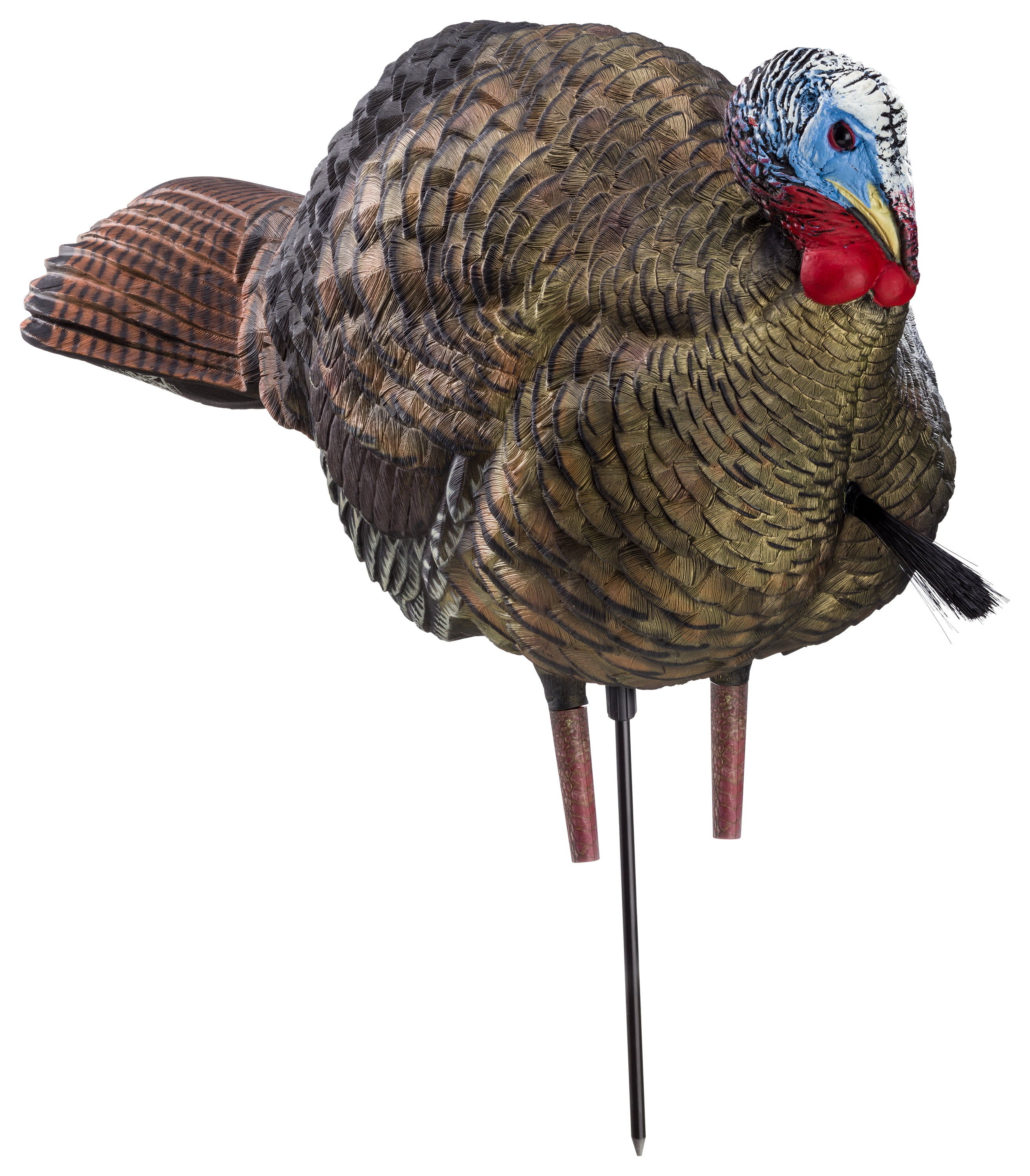Open Box Avian-X AVX8012 LCD Half-Strut Jake Turkey Decoy - Walmart.com