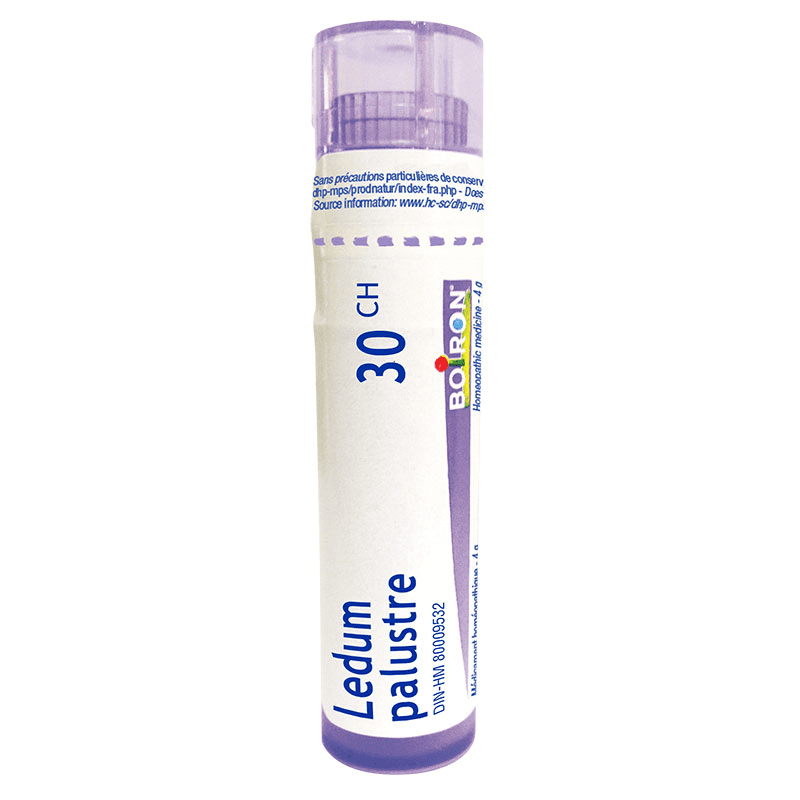 Click here for Boiron Canada Inc. Boiron Ledum Palustre 30ch 4g prices