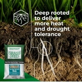 GreenView Fairway Formula Grass Seed Turf Type Tall Fescue Shady ...