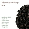 Black Currant Berry Organic Unsweetend - Blackcurrants Dried Fruit ...