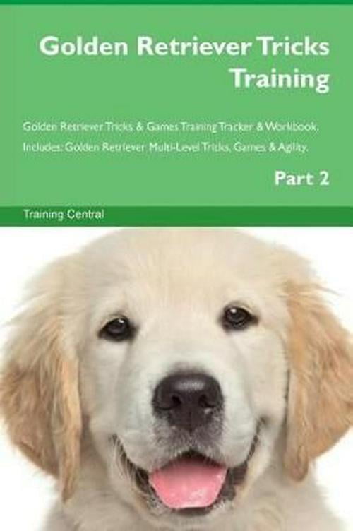 Golden Retriever Tricks Training Golden Retriever Tricks & Games ...