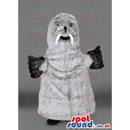 Grey seal SPOTSOUND Mascot with white fangs and black flippers - Animal ...