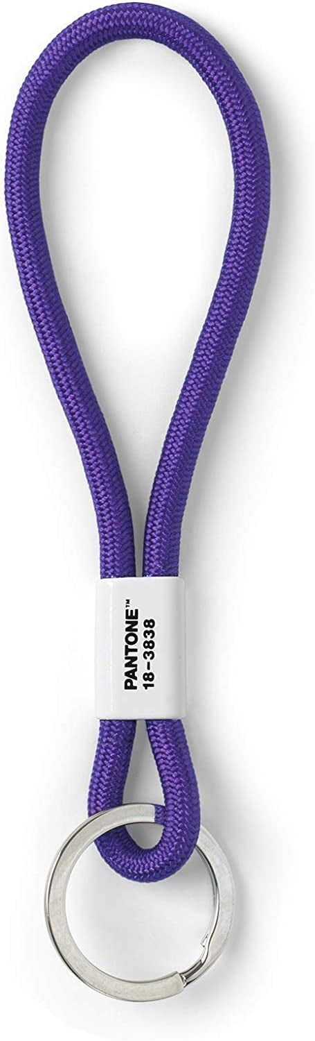 Pantone Keychain Color of the Year 2022 Very Peri - Walmart.com