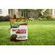 Scotts Turf Builder WinterGuard Fall Lawn Fertilizer, 37.5 lbs ...