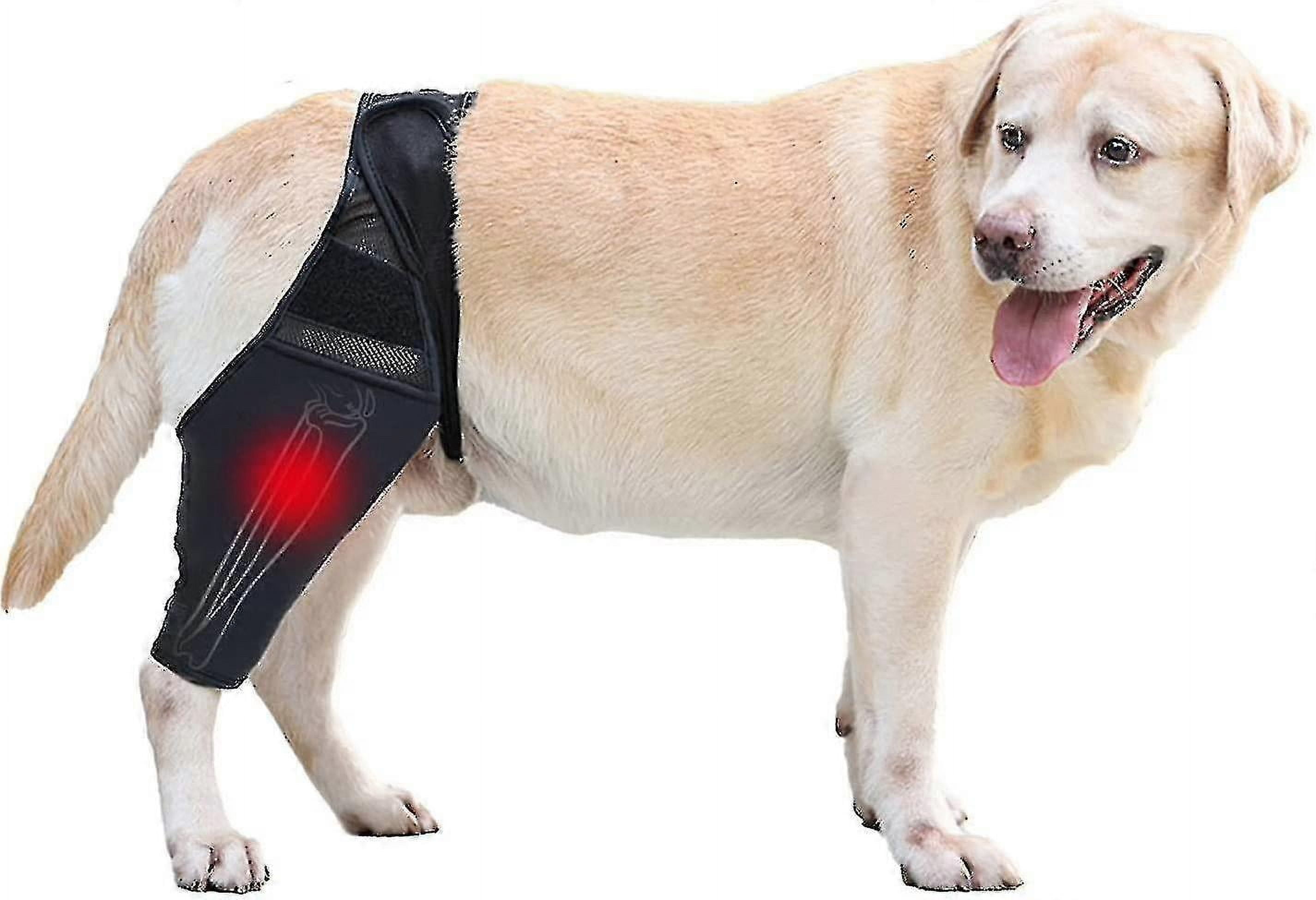 Dog Knee Brace For Acl, Knee Cap Dislocation, Arthritis - Keeps The ...