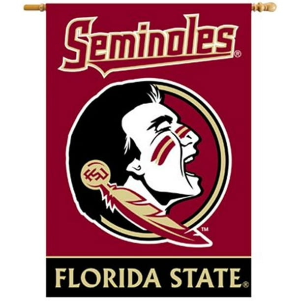 BSI Products 96204 Florida State Seminoles 2-Sided Banner With Pole ...