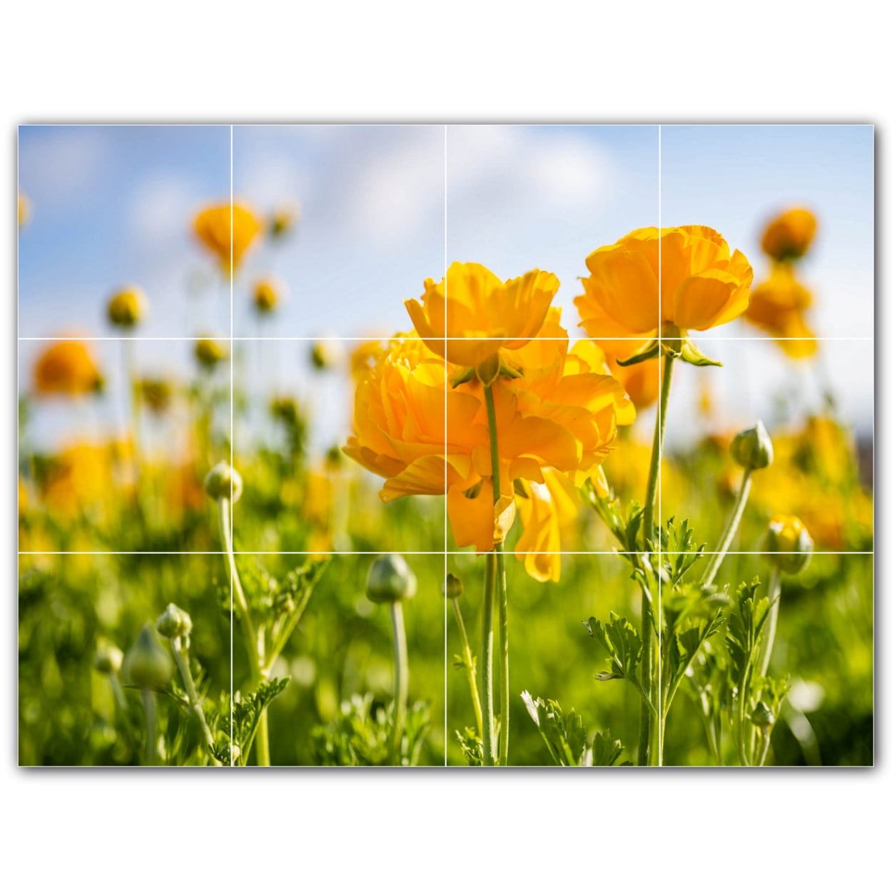 Picture-Tiles.com: Spring Ceramic Tile Wall Mural WAL500956-43L. 32"W x ...
