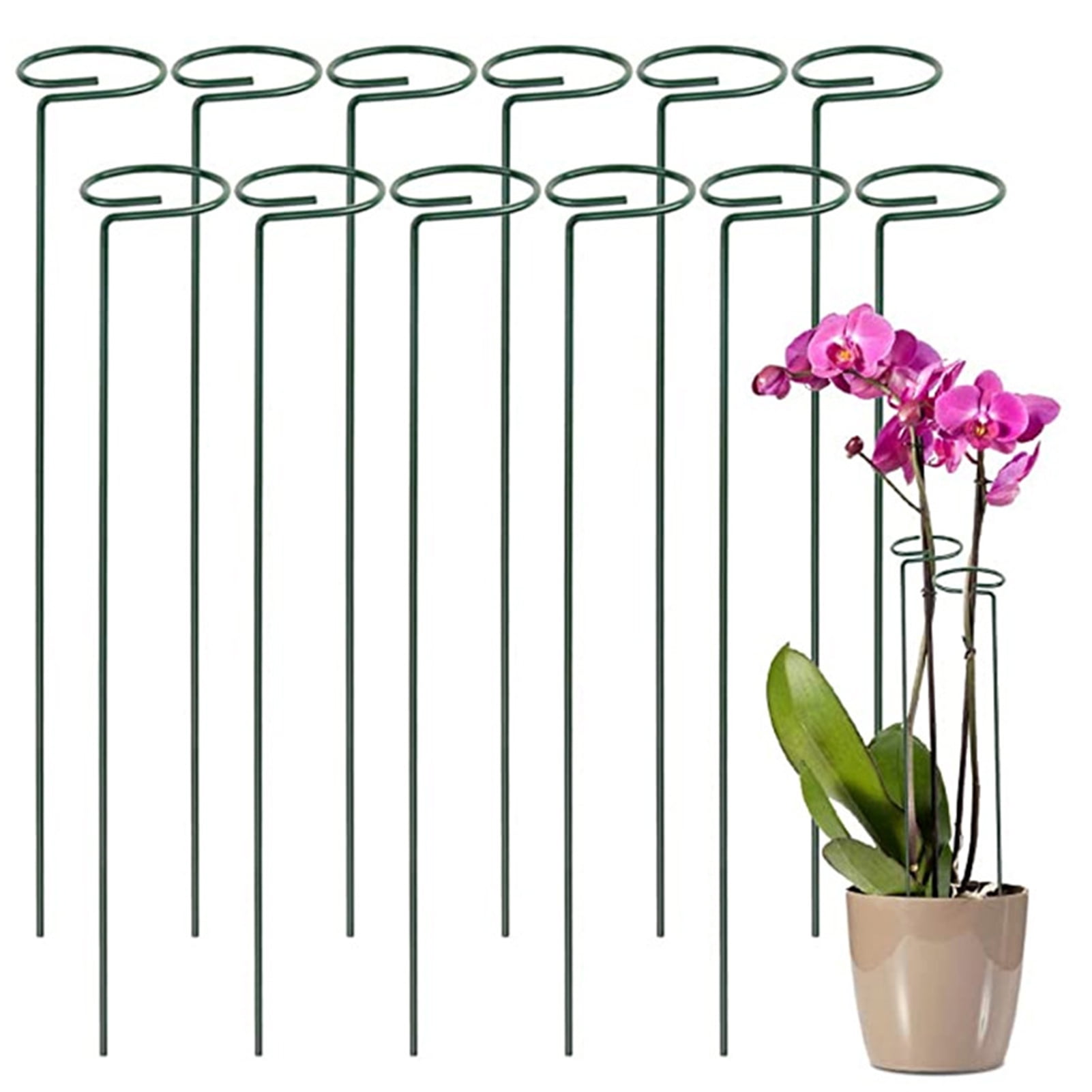 Dream Lifestyle 5Pcs Plant Stake Not-Easy-to Bend Anti-rust Smooth ...