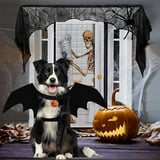Halloween Cat Bat Wings Pet Costume for Halloween Party Decorations ...