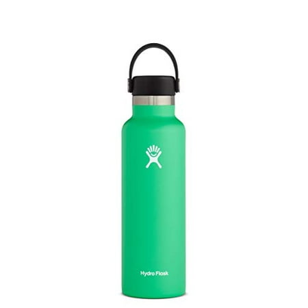 Hydro Flask Water Bottle - Standard Mouth Flex Lid - 21 oz, Spearmint ...