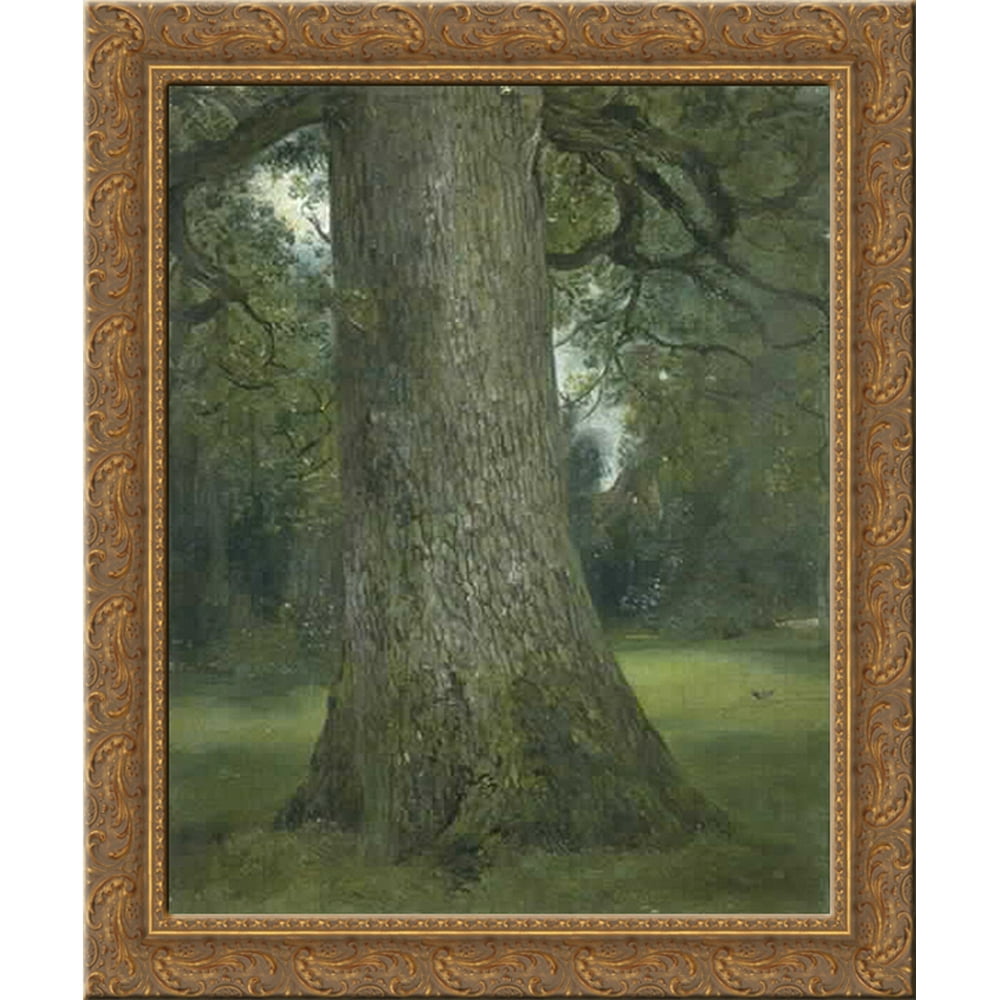 Study of the Trunk of an Elm Tree 24x20 Gold Ornate Wood Framed Canvas ...