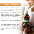 BEE&You, Propolis Liquid Extract Drops, 50% Pure Propolis, Ultra Plus ...