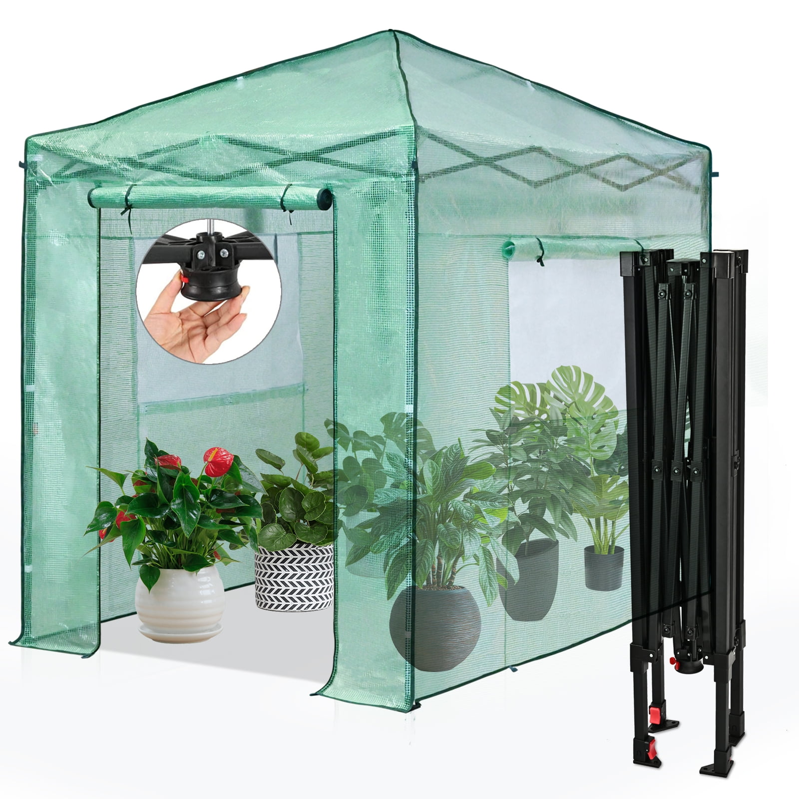 Buy DIYAREA 8x6 Pop Up Greenhouse Walk-in Garden Greenhouse for Indoor ...