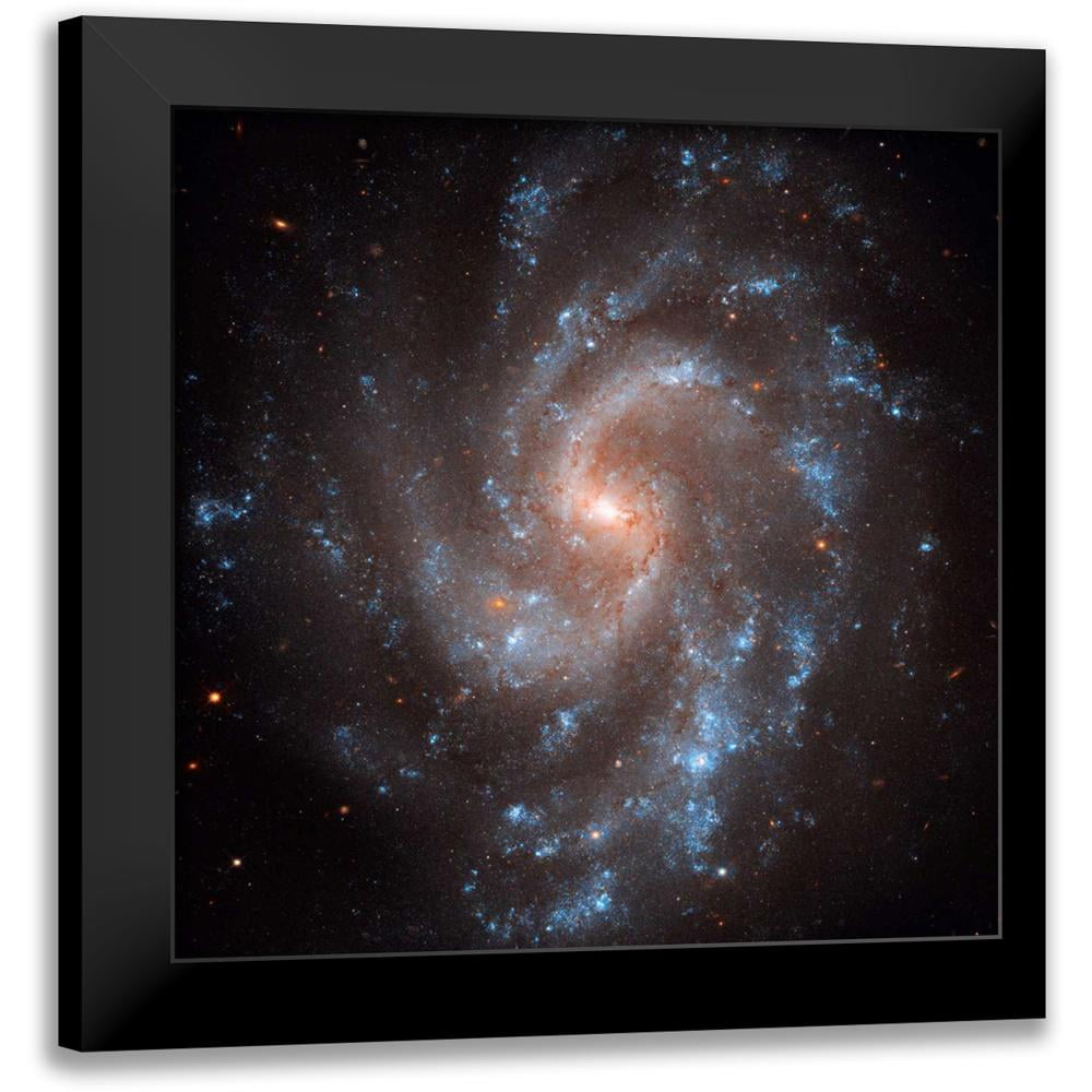 NASA 15x15 Black Modern Framed Museum Art Print Titled - NGC 5584 ...