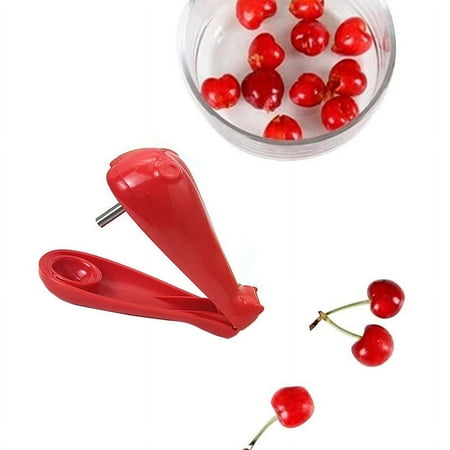 WJSXC Fruit Pits Removal Tool, Multifunctional Pits Removal Tool ...