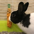 Vitakraft Crunch Sticks Rabbit Treat - Carrot and Honey - Rabbit Chew ...