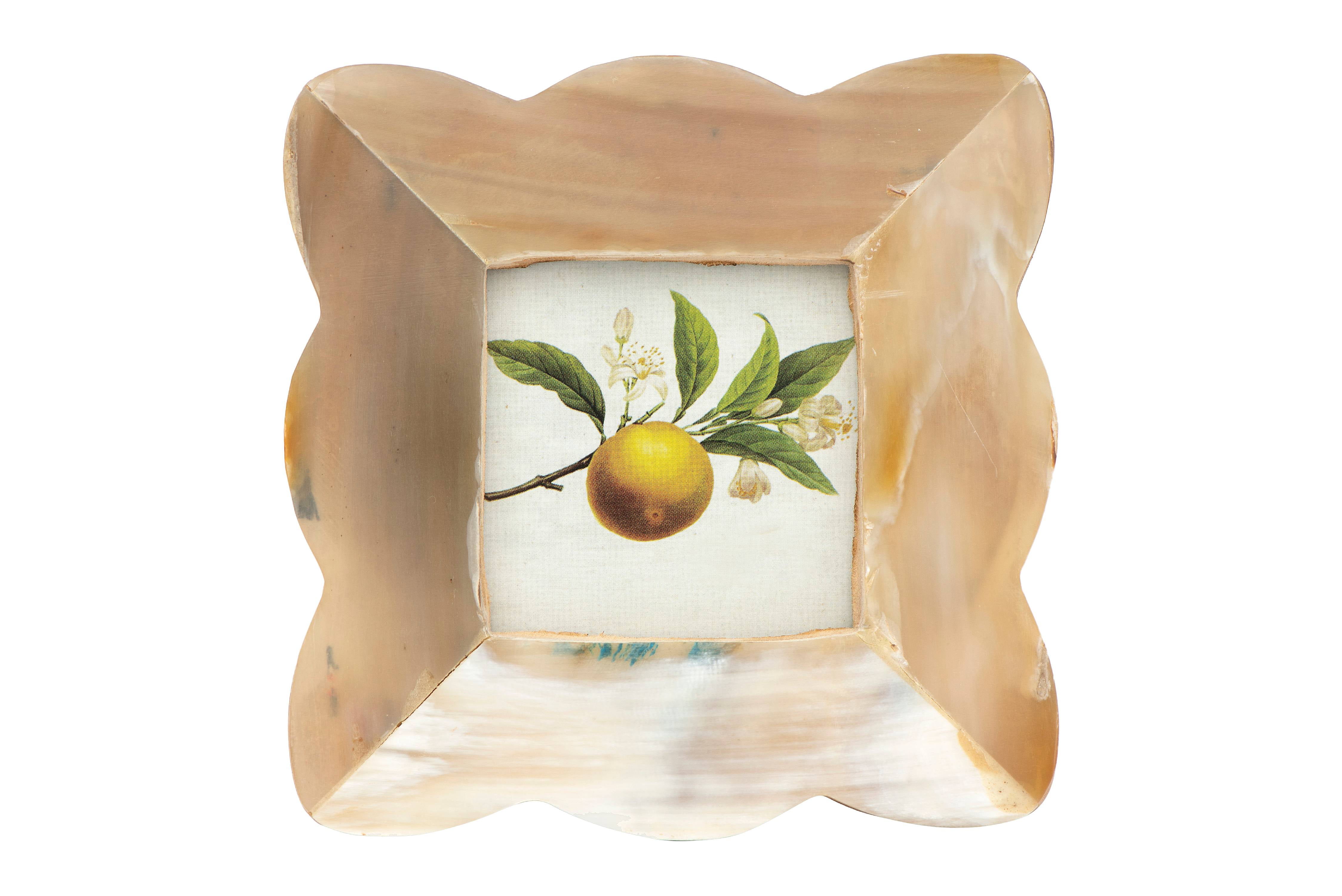 Creative Co-Op Square Resin Photo Frame with Scalloped Edge (Holds 3" x ...