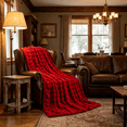 ARLAJO 2026 New Fluffy Blanket Multiple Color Options Throw Blanket for ...