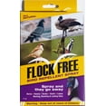 Flock Free Bird Control Repellent Spray, 4 oz, Safe Solution for ...