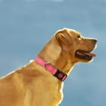 Reflective Dog Collar with Safety Locking Buckle, Adjustable Nylon Pet ...