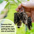 SUPERthrive Organic 4-4-4 All-Purpose Fertilizer, Solid Granular ...