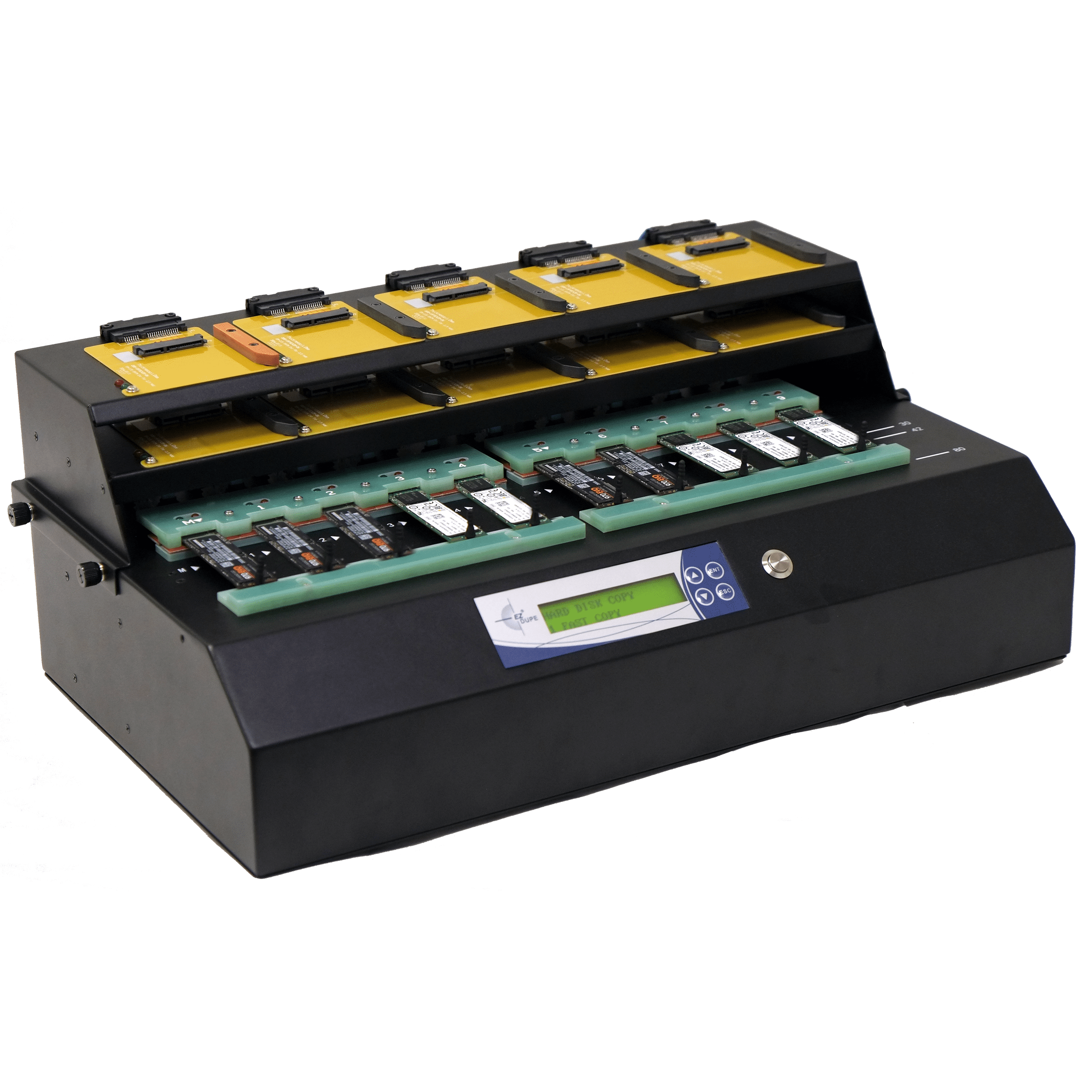 Anwalt Eintauchen D mon M2 Nvme M2 Sata Pfirsich Evolution Pidgin Anwalt Eintauchen D mon M2 Nvme M2 Sata Pfirsich Evolution Pidgin