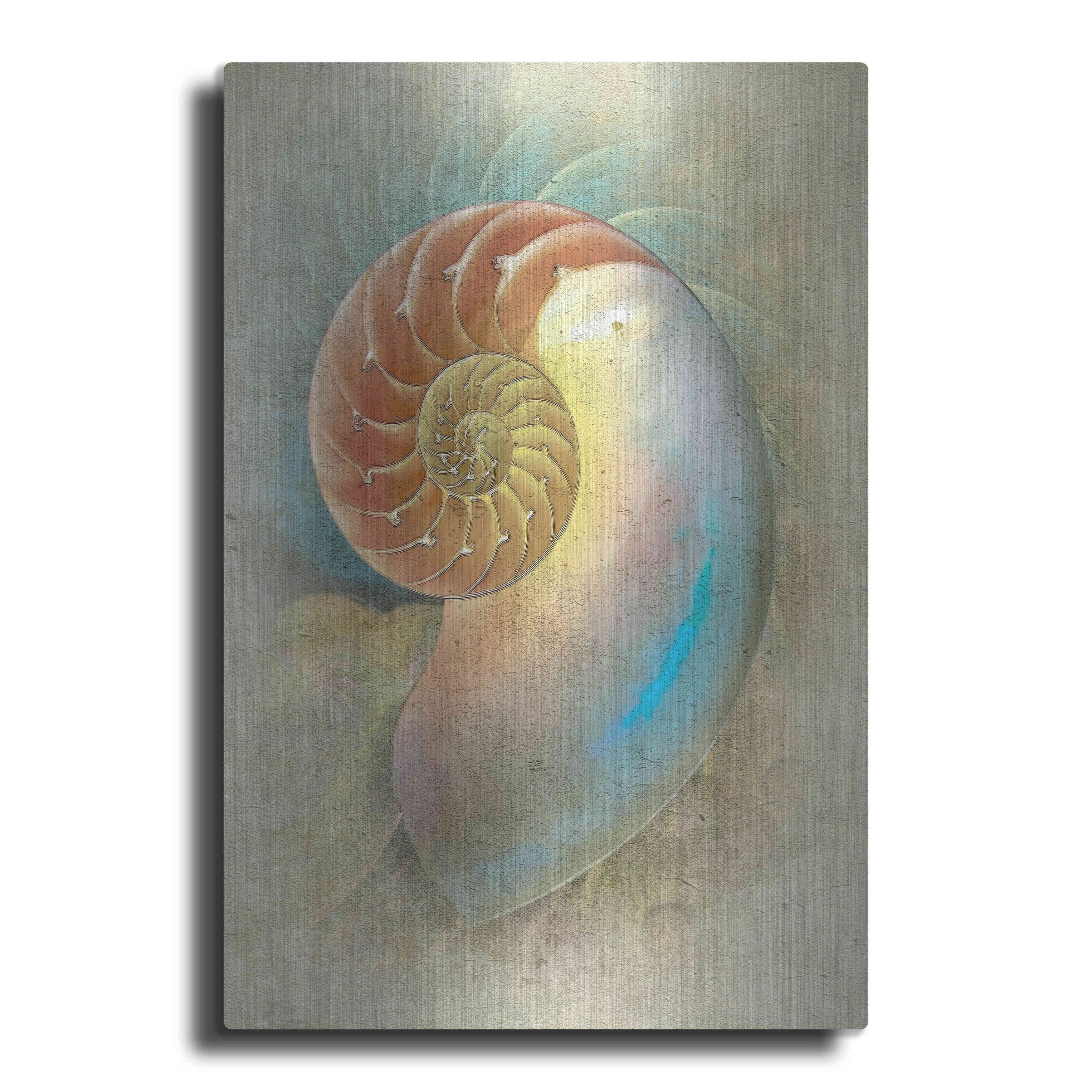 Luxe Metal Art 'Aquatica II' by Steve Hunziker, Metal Wall Art, 12"x16 ...