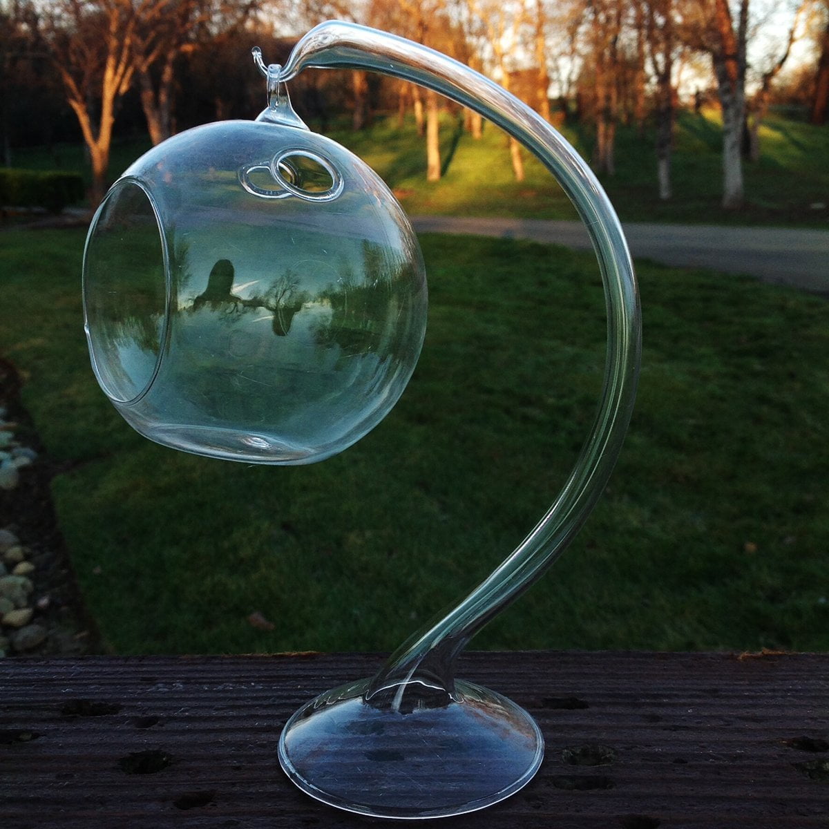 Hanging Round Clear Glass Sphere for Small Succulents, Air Plant or ...