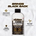 Solution Finish - Black Plastic & Vinyl Trim Restorer - Black (12 oz ...
