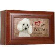 4" X 6" White Lacquer Photo Frame Music Box With New "Pop-Out" Lens ...