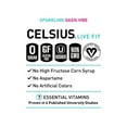 CELSIUS Sparkling Oasis Vibe, Sugar Free Healthy Energy Drink, 12 Fl Oz ...